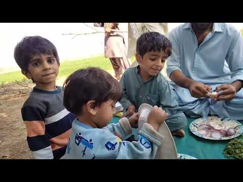 Tip to Sakran Balochistan 🌴🌴🌴🌴🌴🌴 ️😘💝 - YouTube