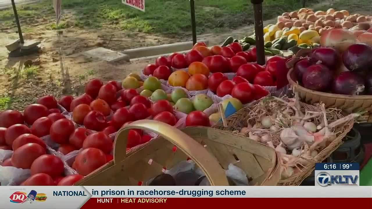 East Texas produce stands see brisk business despite summer heat - YouTube