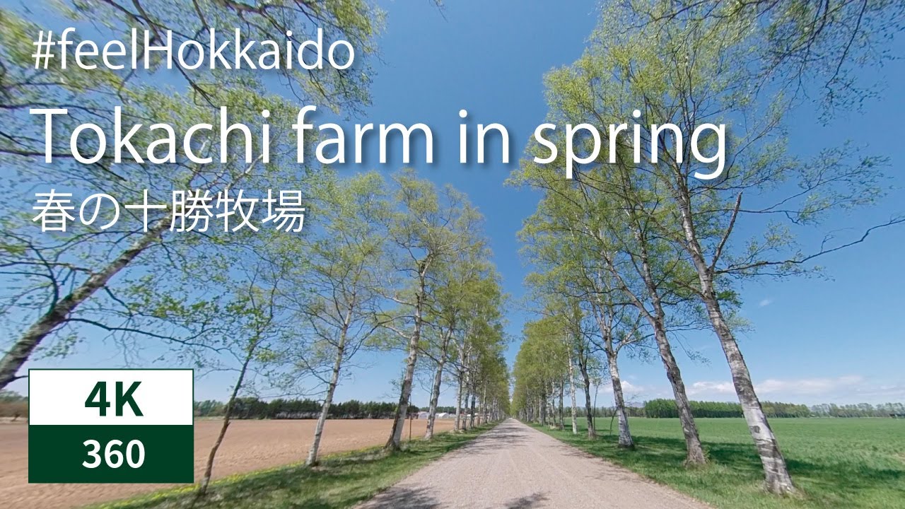【3min Relaxing Shinrin-yoku】4K #feelHokkaido@home “Tokachi farm in ...