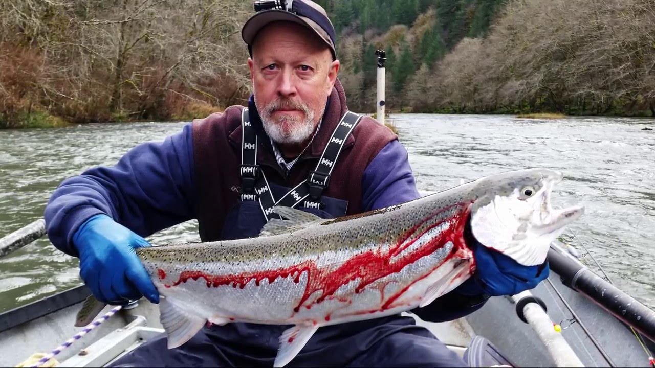 Barrows Fishing - Winter Steelhead 2016 - Rick Barrows - YouTube