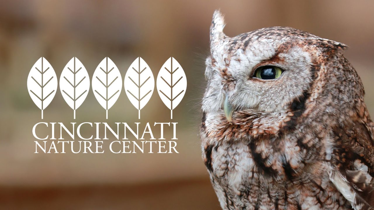 The Nature Center Welcomes Two NEW Ambassadors! - YouTube