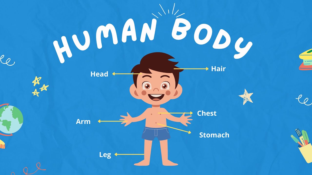 Introduction to Human Body | Body Parts Learning for Kids | Different ...