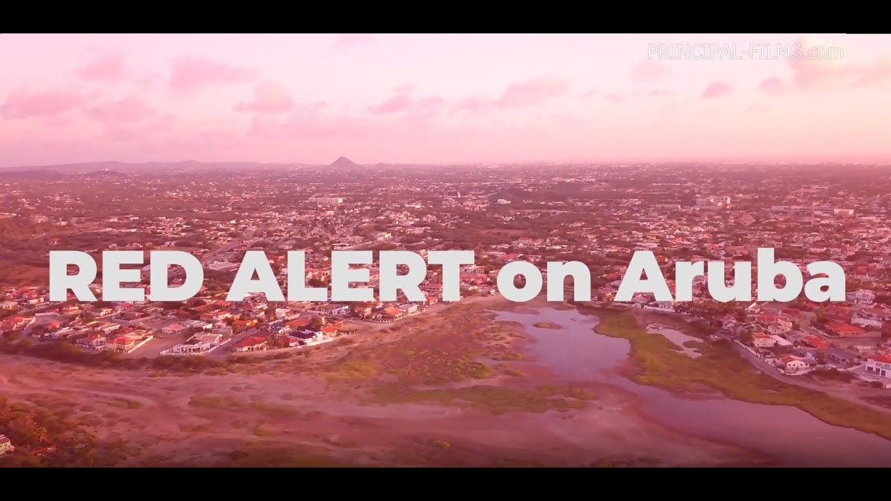 AWAA - ANIMAL WELFARE ALLIANCE ARUBA - YouTube