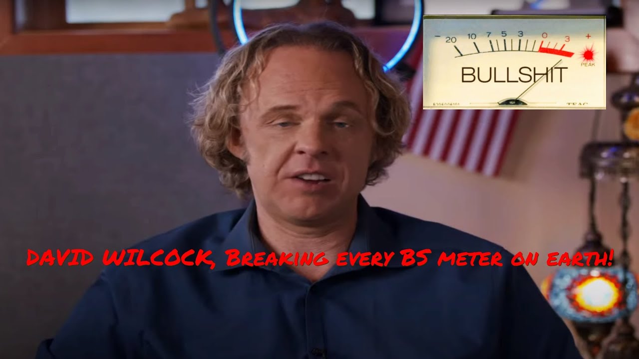 David Wilcock : Breaking every BS meter on earth! - YouTube