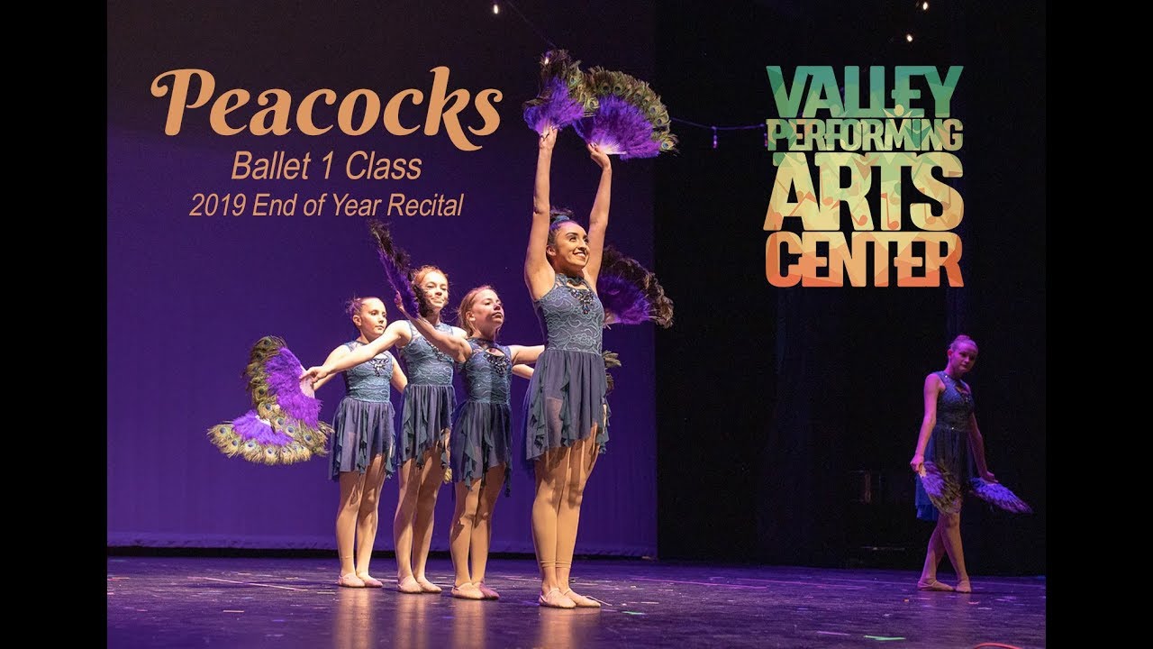 Peacocks | Ballet 1 Contemporary Ballet Routine - YouTube