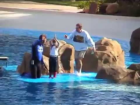Key West Dolphin Fest (2002) - YouTube