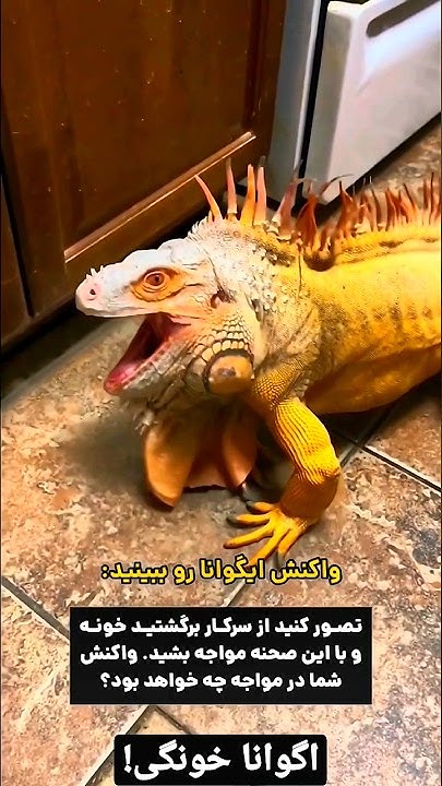 فقط اون حرکت اخرش 😂viral Like Youtube