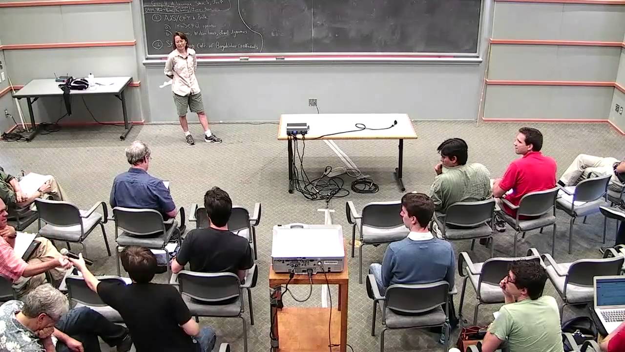 Eva Silverstein - String and brane dynamics in black holes and time ...