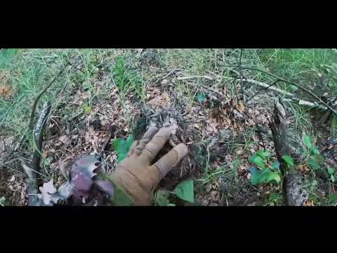 Russian SSO Senezh footage compilation Sumy Oblast 