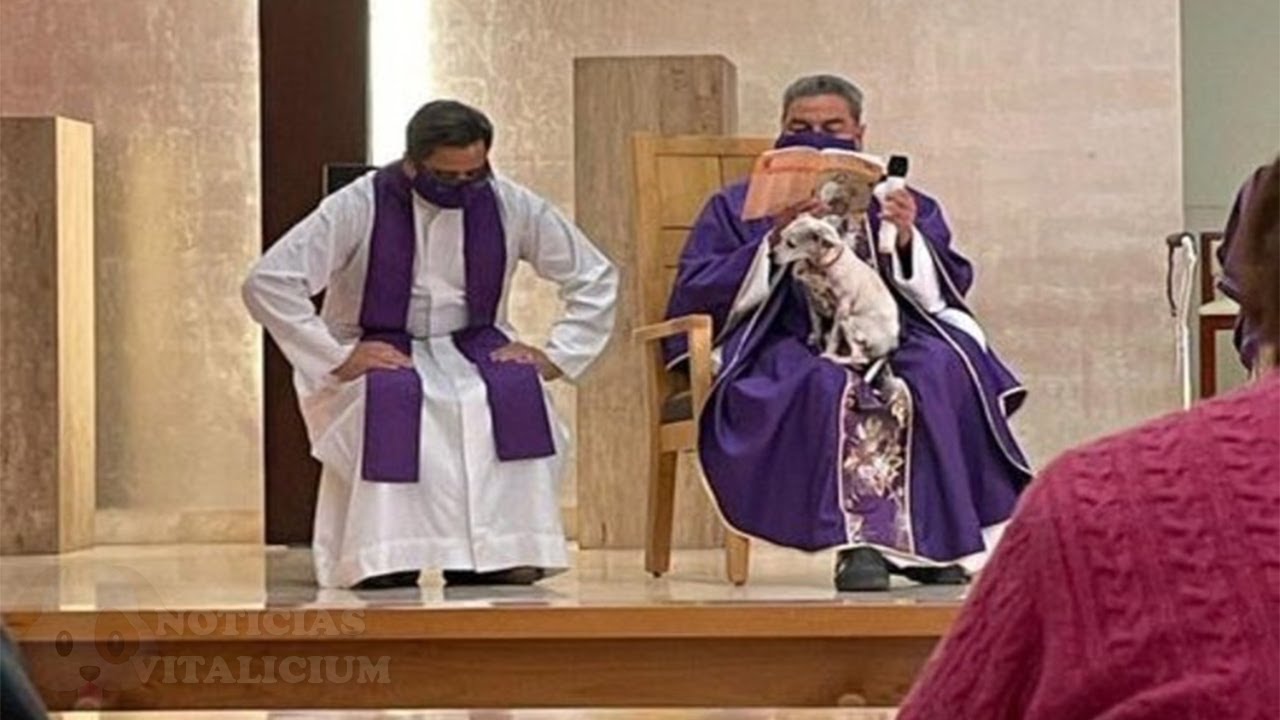 La FOTO que IMPACTO a MILES en las REDES SOCIALES - Sacerdote da la ...