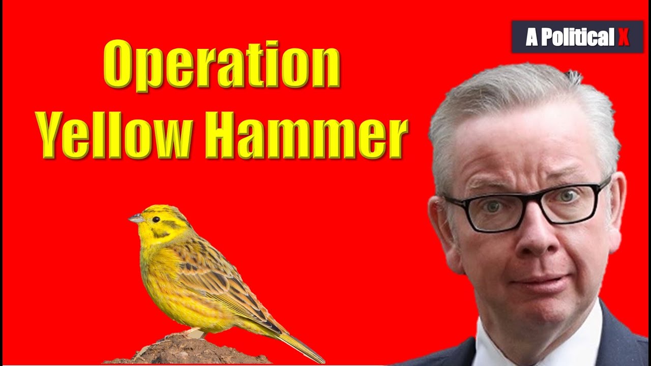 Operation Yellowhammer: Brexit Reality - YouTube