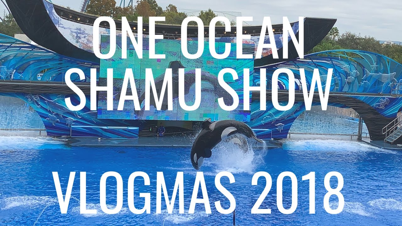 One Ocean Shamu Show || Sea World Orlando - YouTube