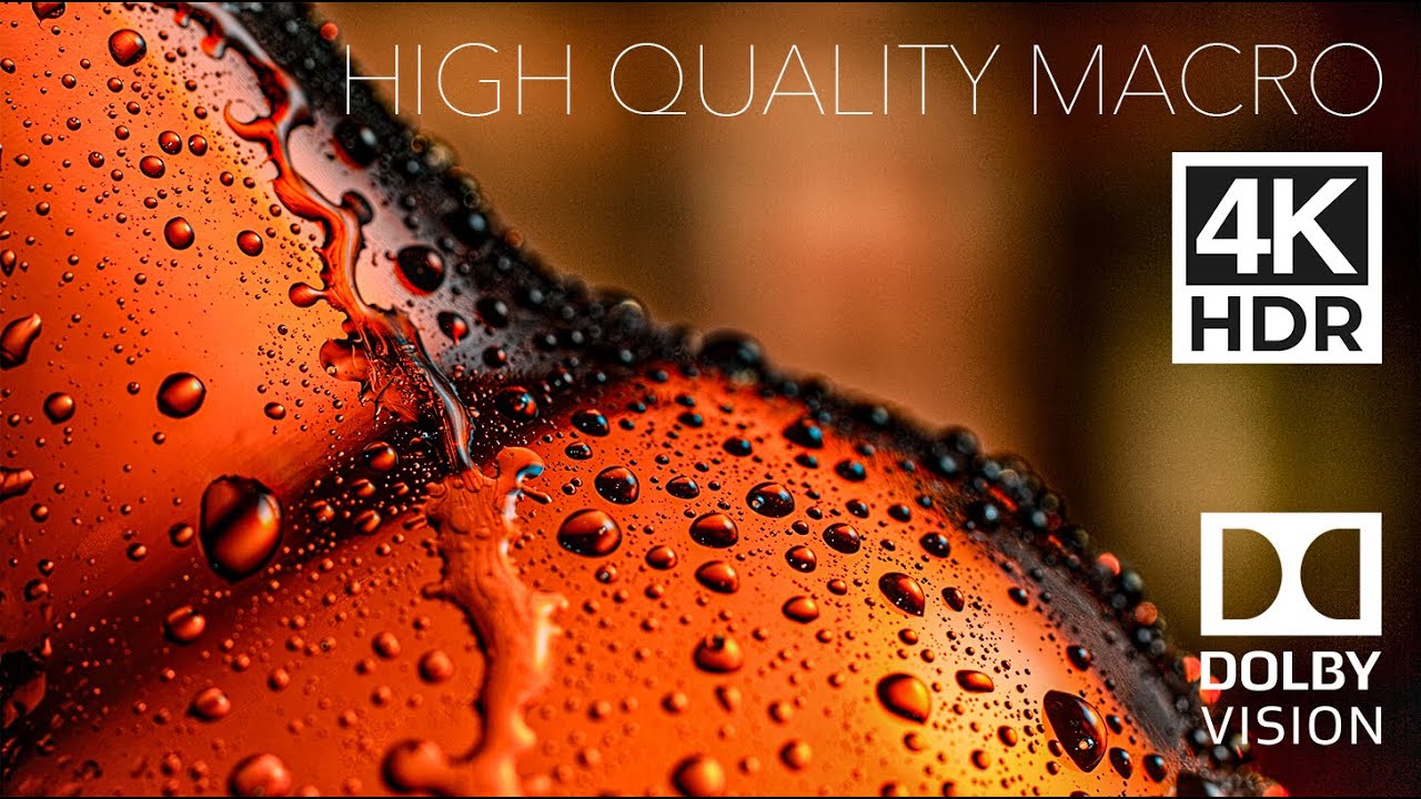 The Beauty of Macro VideoGRAPHY in Dolby Vision (4K HDR 60FPS) - YouTube