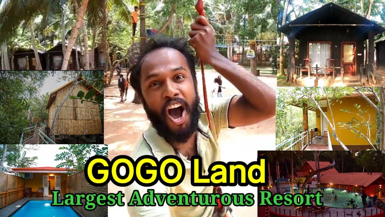 Gogo Land Resort Tree house,Delux,pool Villa, Bamboo cottage Details ...
