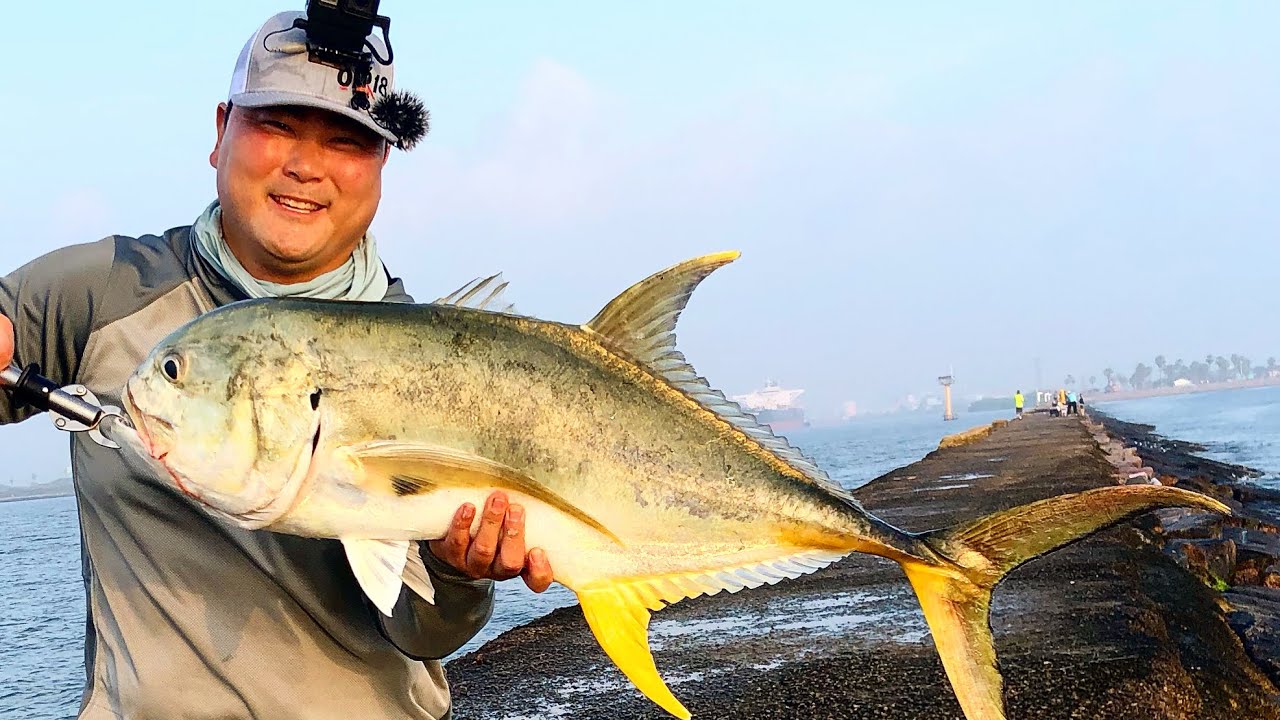 ***JETTY JACKPOT*** JACKS ARE BACK Fishing Freeport Jetty - YouTube