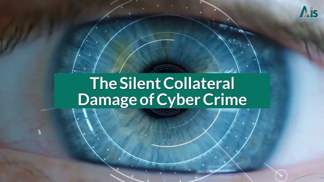 Silent Collateral Damage of Cyber Crime - (877) 787 - 5258 - Axis ...