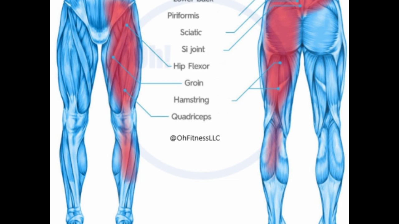 Standing Leg Swings Front to Back - YouTube