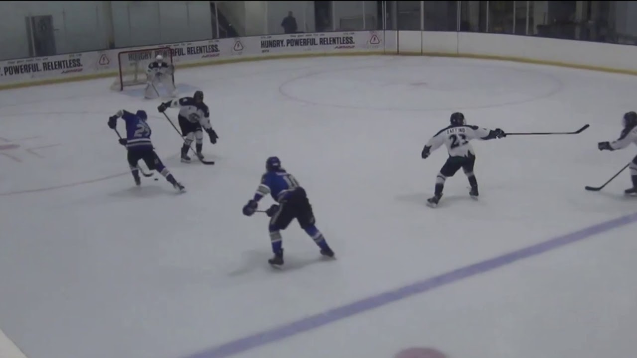 2020-2021 Nick Swain Highlights - New Jersey 87s EHL - YouTube