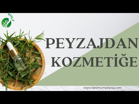 PEYZAJDAN KOZMETİĞE / BAZI BİTKİLERİN KOZMETİKTE KULLANIMLARI