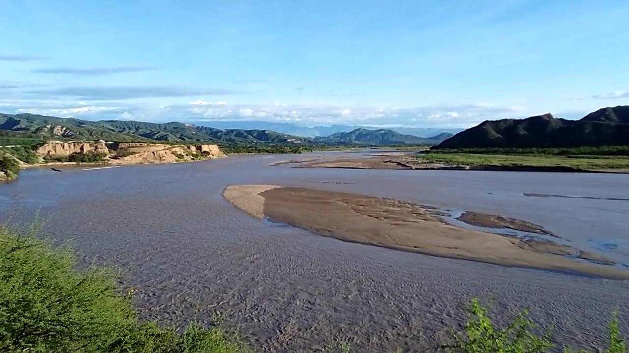 Pongo de rentema - YouTube