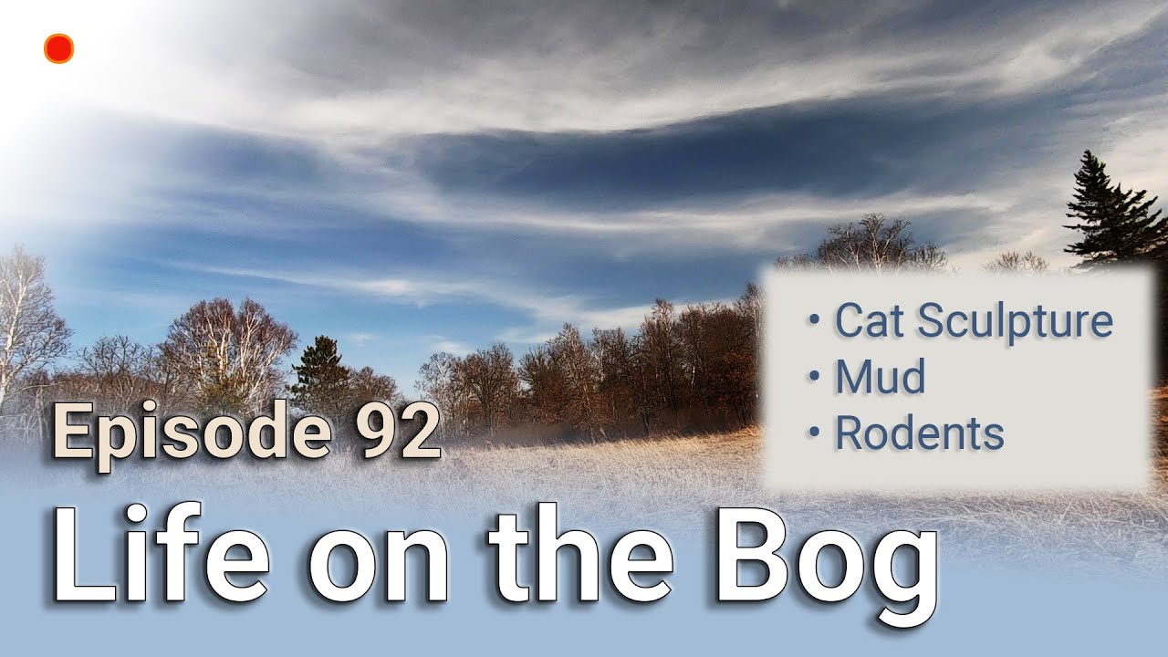Life on the Bog • Episode 92 • March 14-23, 2021 - YouTube