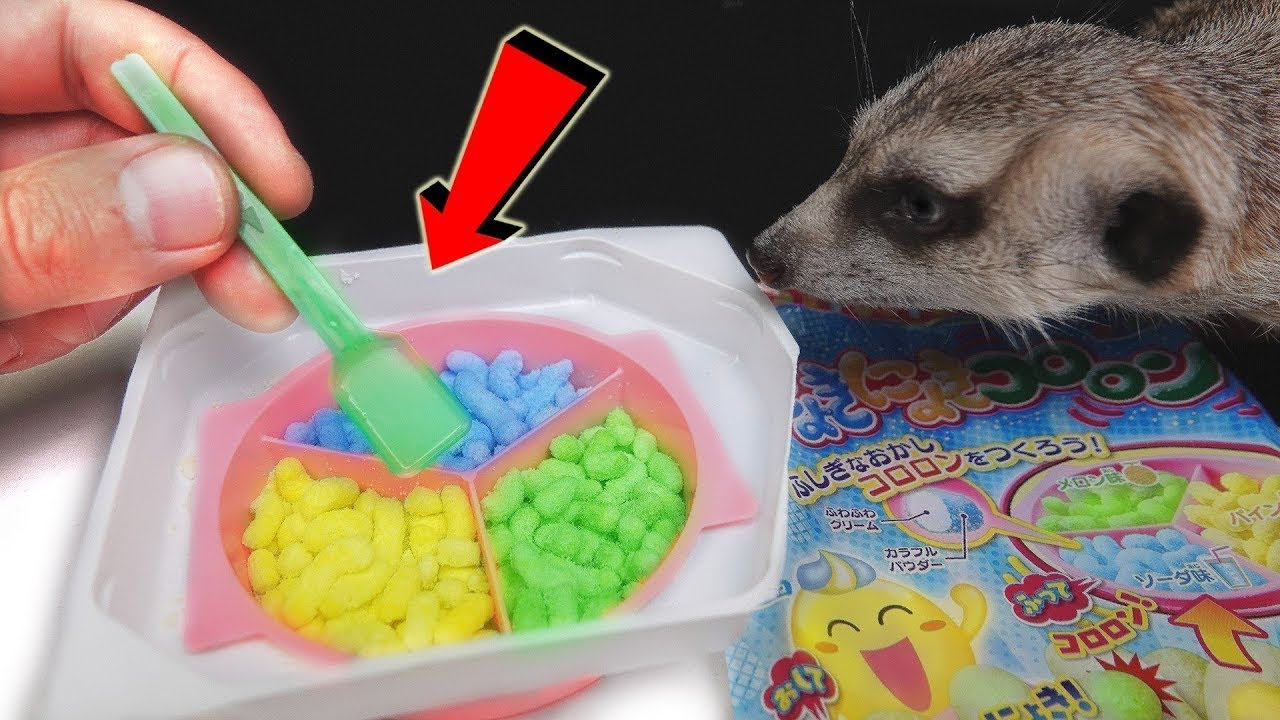 ¡DIY GUSANITOS DULCES RAROS JAPONESES de POLVO! BIG MAC de CHOCOLATE ...