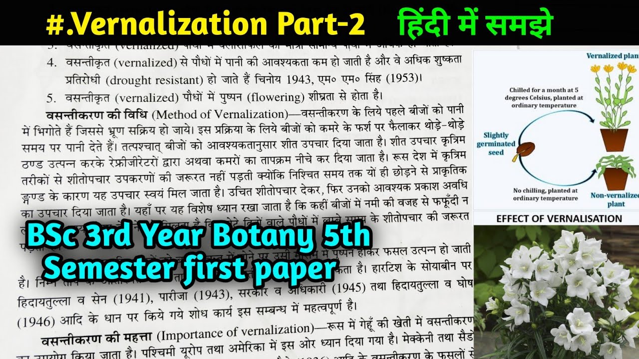Vernalization Part-2 || Plant Physiology || BSc 3rd year Botany 5th ...