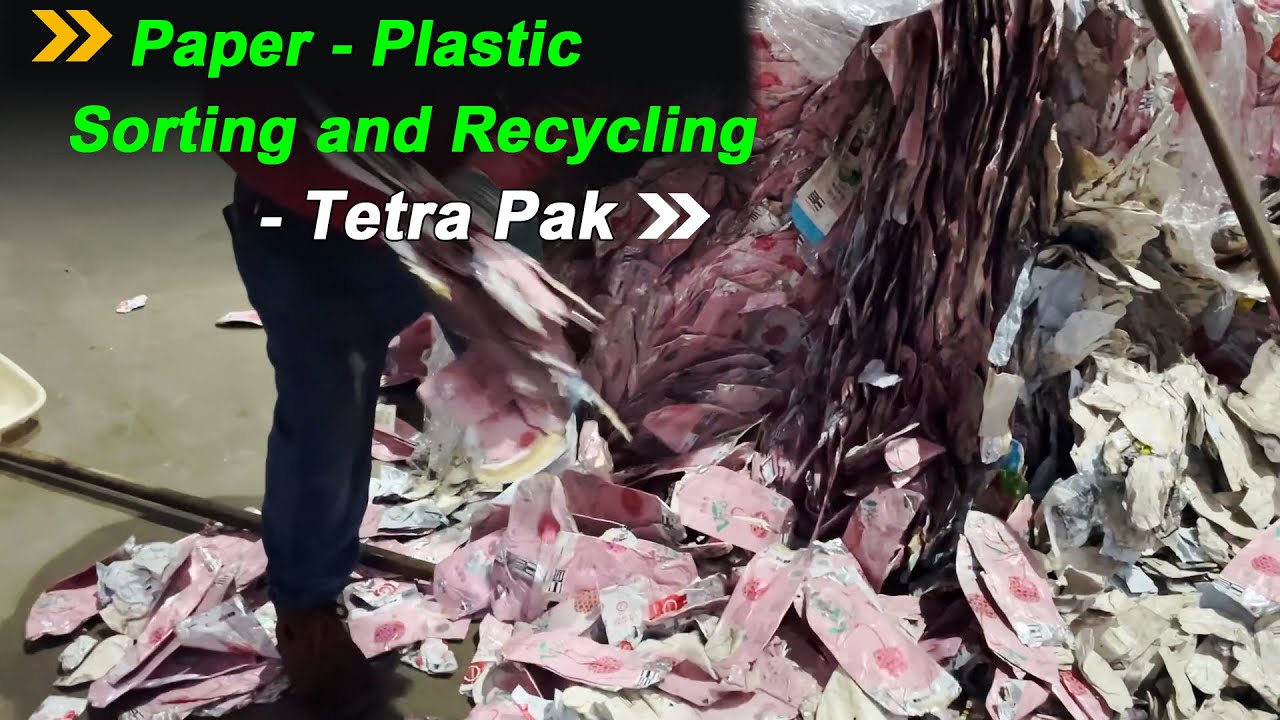 Efficient Paper and Plastic Recycling Technology Explained！#recycle ...