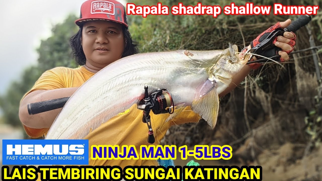 Joran HEMUS NINJA MAN 1-5LBS ini sangat cocok buat casting LAIS ...