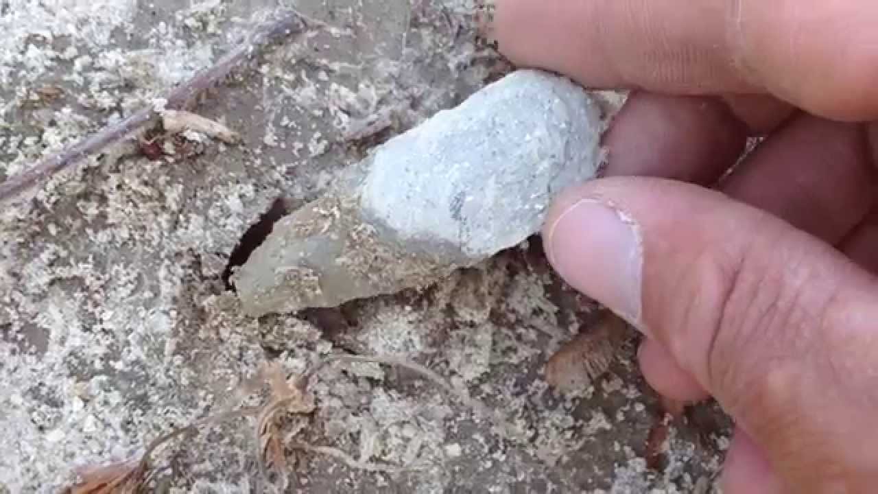 Spring Artifacts -- GUILFORD! ~ 294 Artifact Find! Apr 2015 - YouTube
