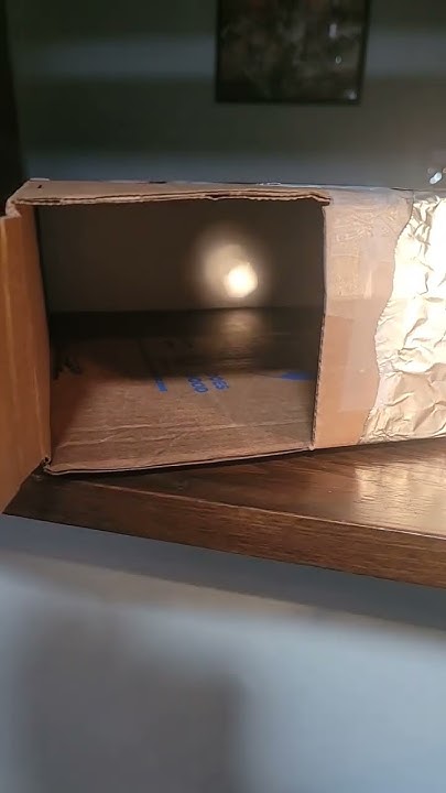 made a homemade eclipse viewer out of a cardboard box, tin foil, and ...