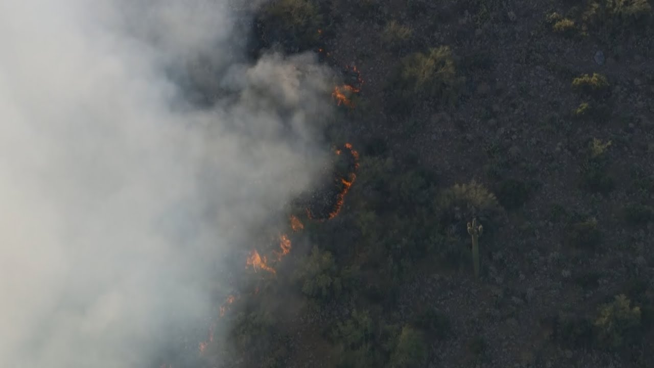 Bush Fire: '90,000 acres. It's a little hard to get your head around ...