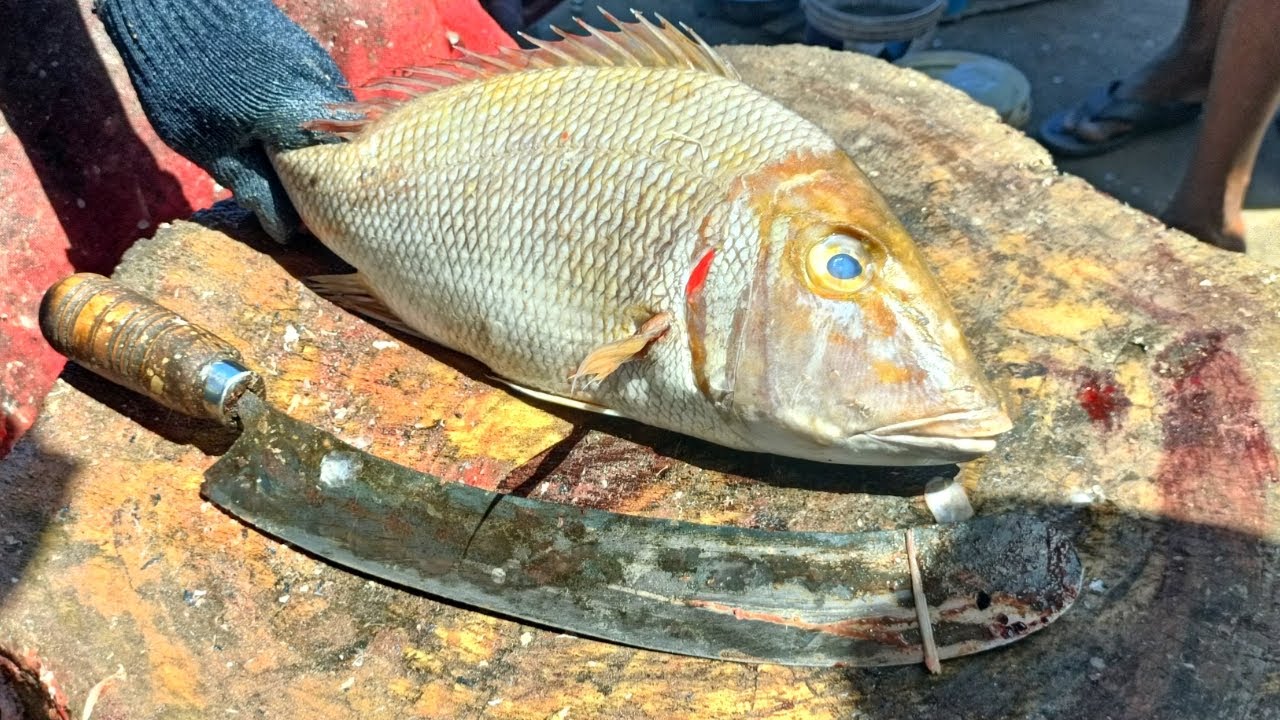 Emperor(Vilai Meen) Fish Cutting Skill / Tasty Vilai Meen / CT 360*🔪 ...