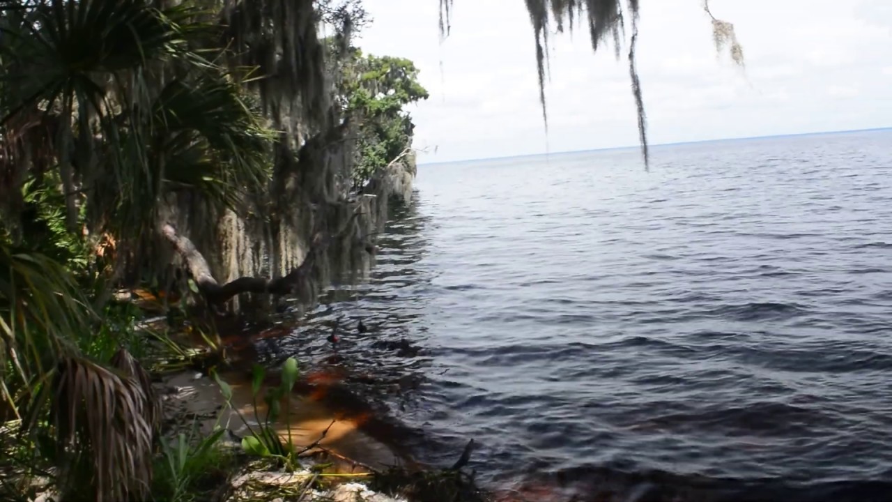 Lake George View along Lake George Trail, Ocala National Forest ...