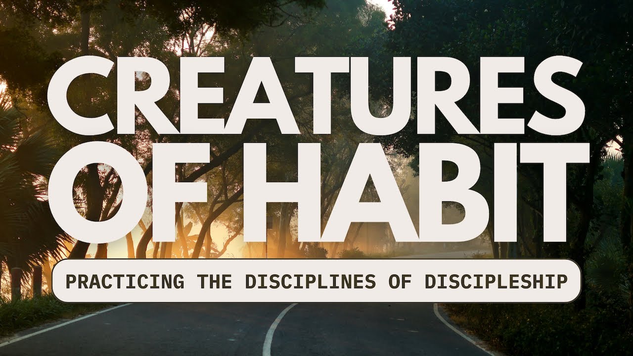 January 25, 2026 - Creatures of Habit - Part 4 - YouTube