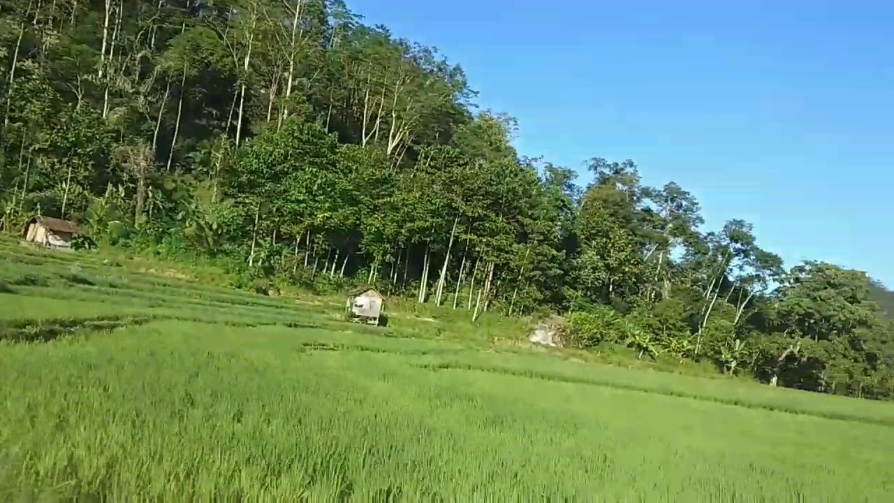 GARUT SWISS VAN JAVA - YouTube