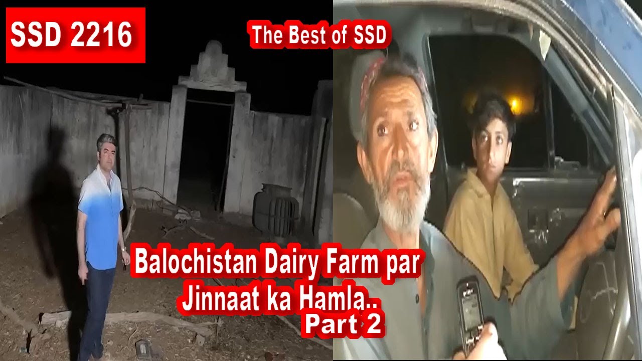 SSD 2216 | Balochistan Dairy Farm par Jinnaat ka Hamla..| Part 2 - YouTube