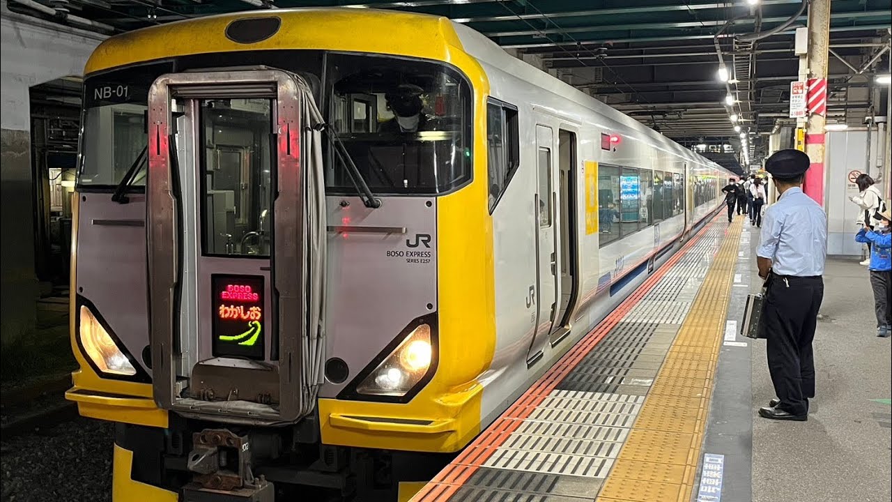 【50th記念ラッピング車】房総エクスプレスE257系500番台千マリNB-01＋？？ わかしお15号上総一ノ宮行き蘇我駅発車 - YouTube