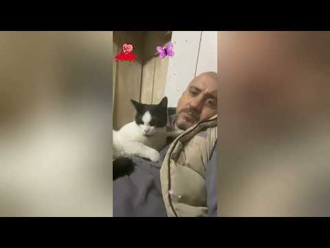 PANDA VE BABA SEVGİSİ 🥰