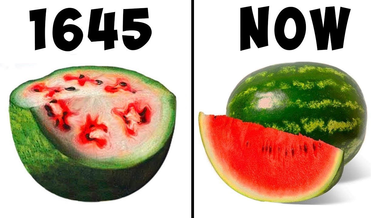 10 Vegetables And Fruits That Have Completely Changed Over Time - YouTube