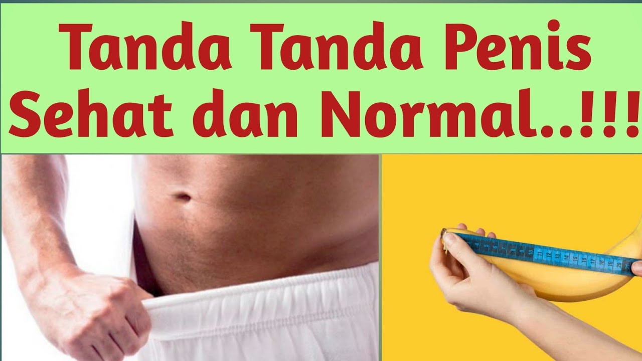 Penis bengkok, Apakah normal??? Ini dia Ciri ciri penis yang normal ...