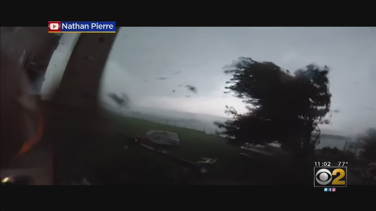 Tornado Confirmed In Rogers Park; Community Clean Up Underway - YouTube