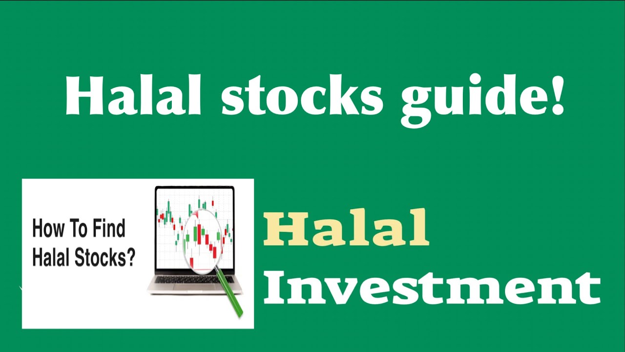 Halal stocks Guide! | How to Select Halal Stocks? @halalinvestment # ...