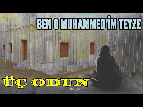 Üç ODUN! | Ebu Ubeyde Hoca
