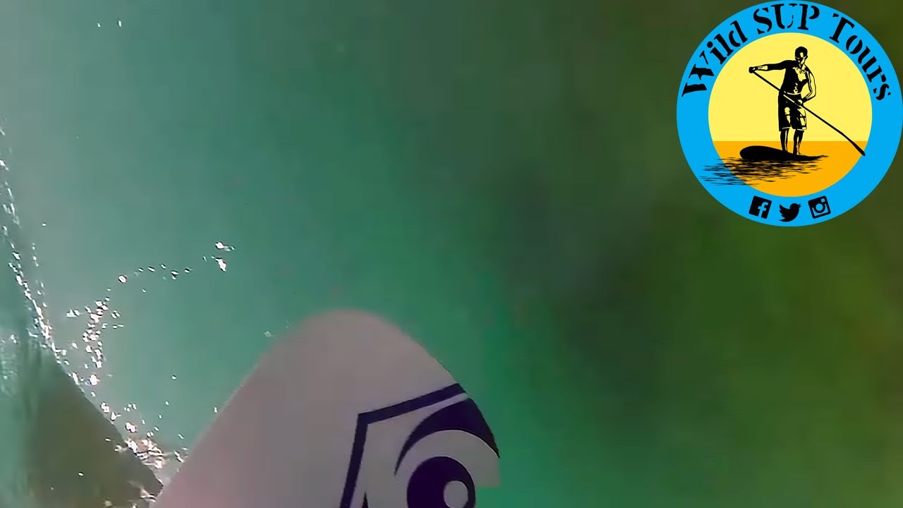 SUP Boarding in Ventry Harbour Ireland - YouTube