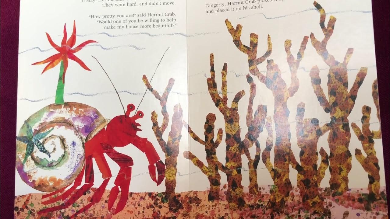 “A House for Hermit Crab” Read Aloud - YouTube