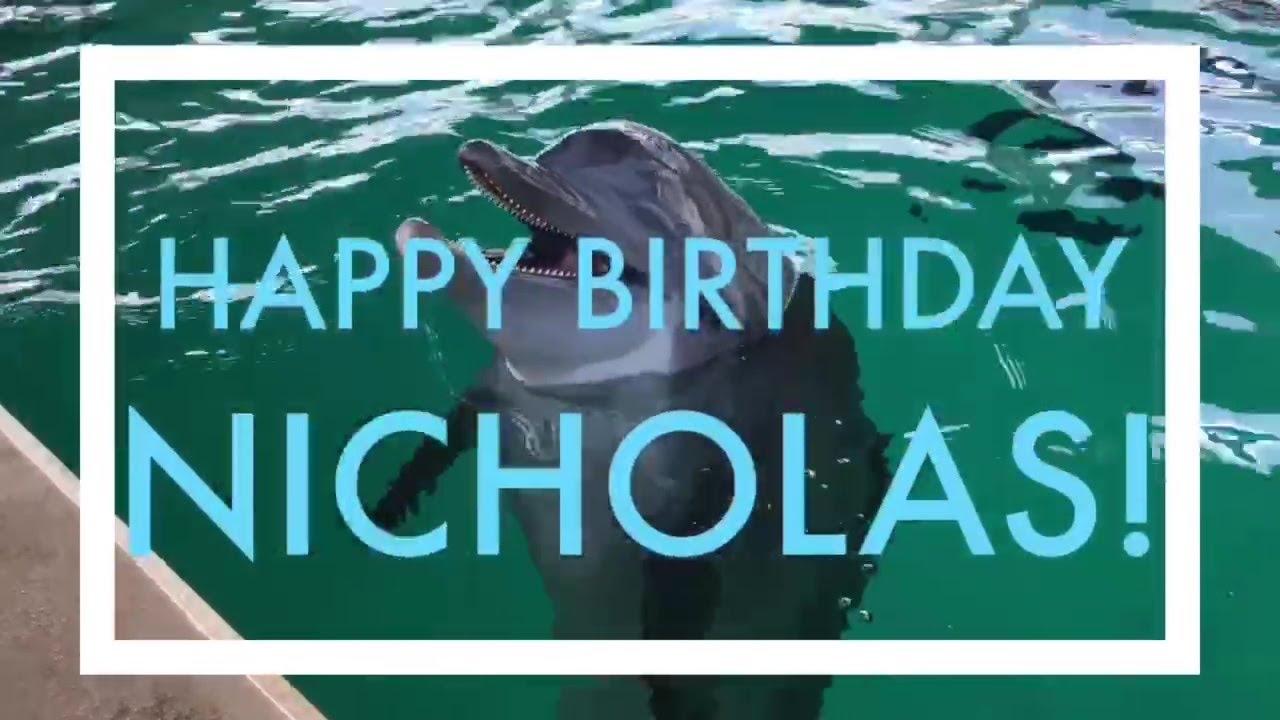 Nicholas the Dolphin's Splashy 16th Birthday - YouTube