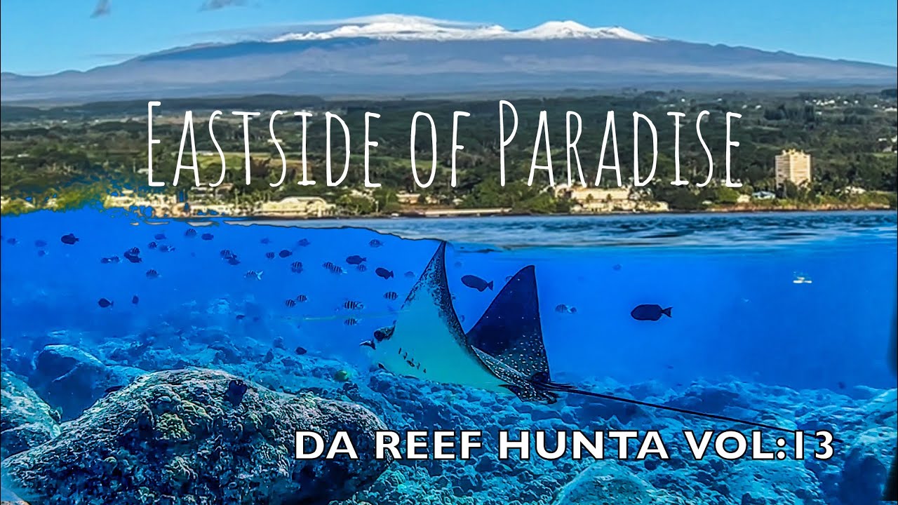 Da Reef Hunta Vol:13 - YouTube