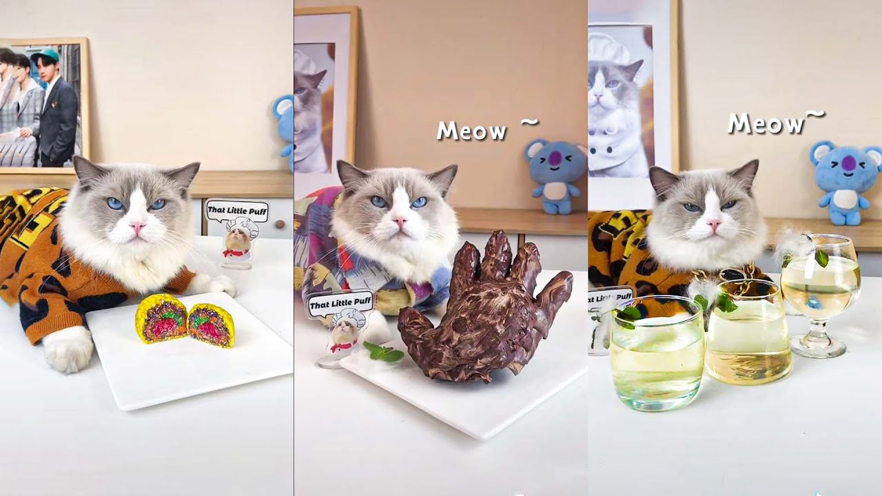 Cats Make Food 😻🍳 | That Little Puff Tiktok Compilation 2022 | Chef Cat ...