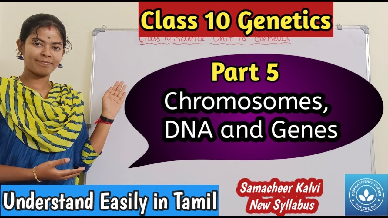 Chromosomes, DNA and Genes| Class 10 Science Unit 18 Genetics - YouTube